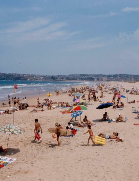 SoCal Neutral Bay - Restaurant & Bar